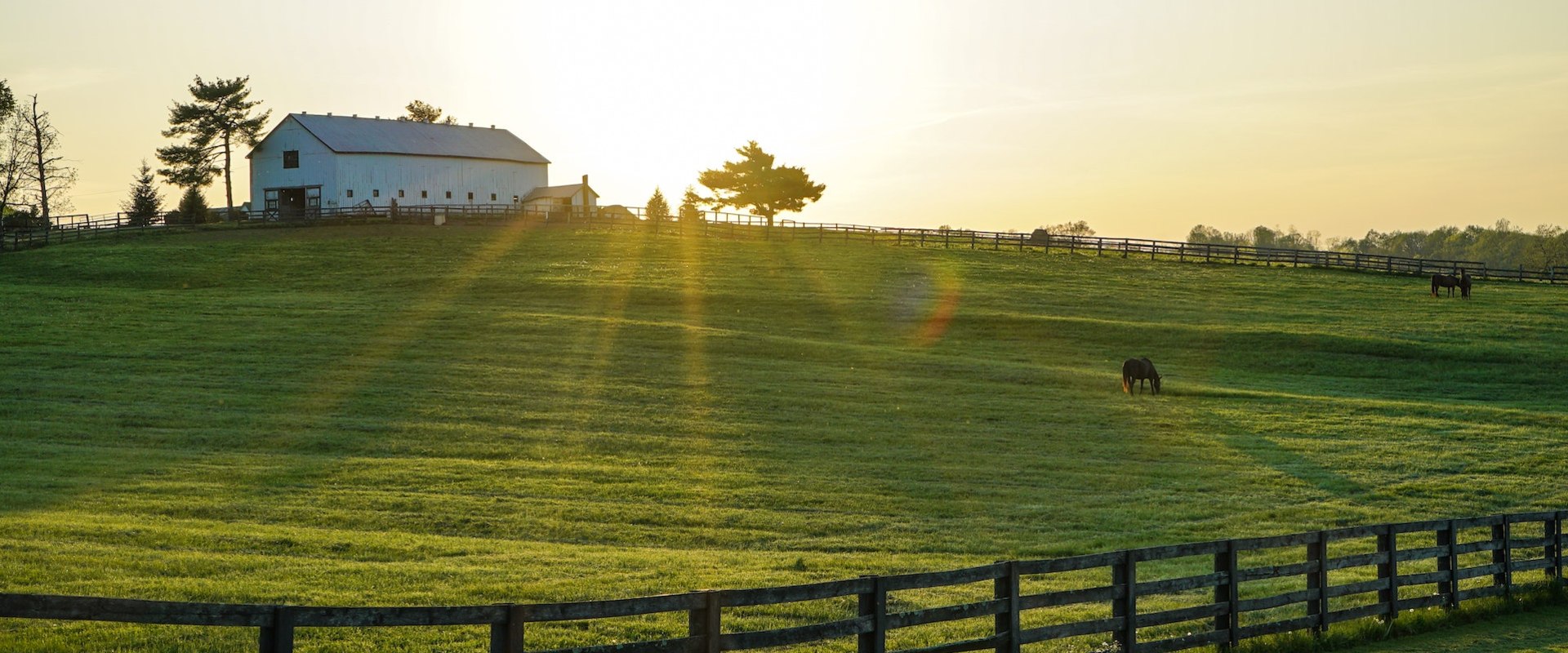 Which Is Right for You? Ranch vs Farm vs Homestead Compared