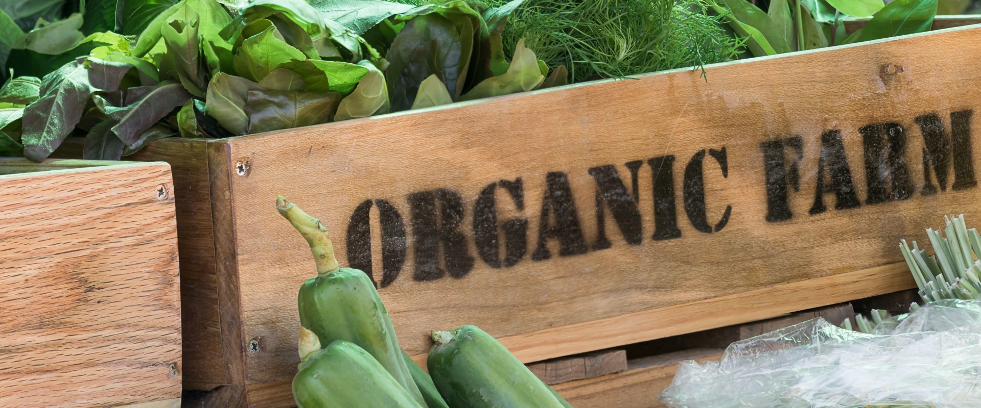 Innovative Organic Farming Examples From Leading Organic Farm